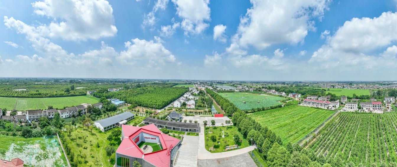 江苏靖江：党建领航聚合力 托举强村富民梦-南京广播电视台